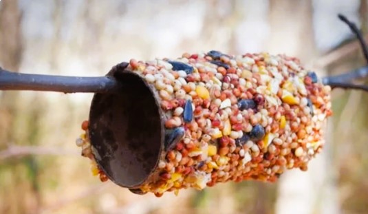BLOGGER SHARES DIY SEED FEEDER TIP | backyardwildlifeconnection