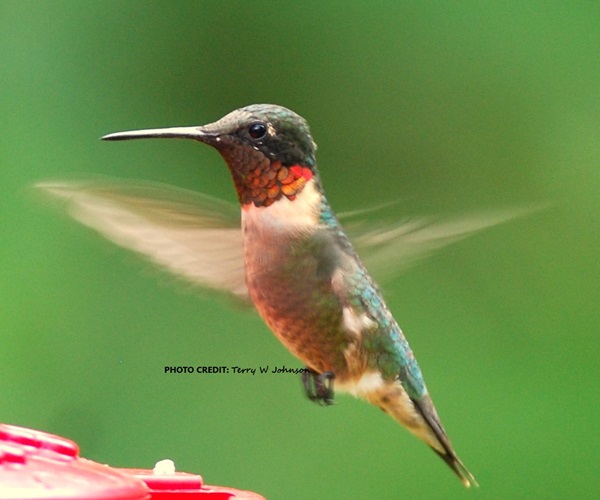 WITH MARCH JUST DAYS AWAY, ITS TIME TO BEGIN THINKING ABOUT ...